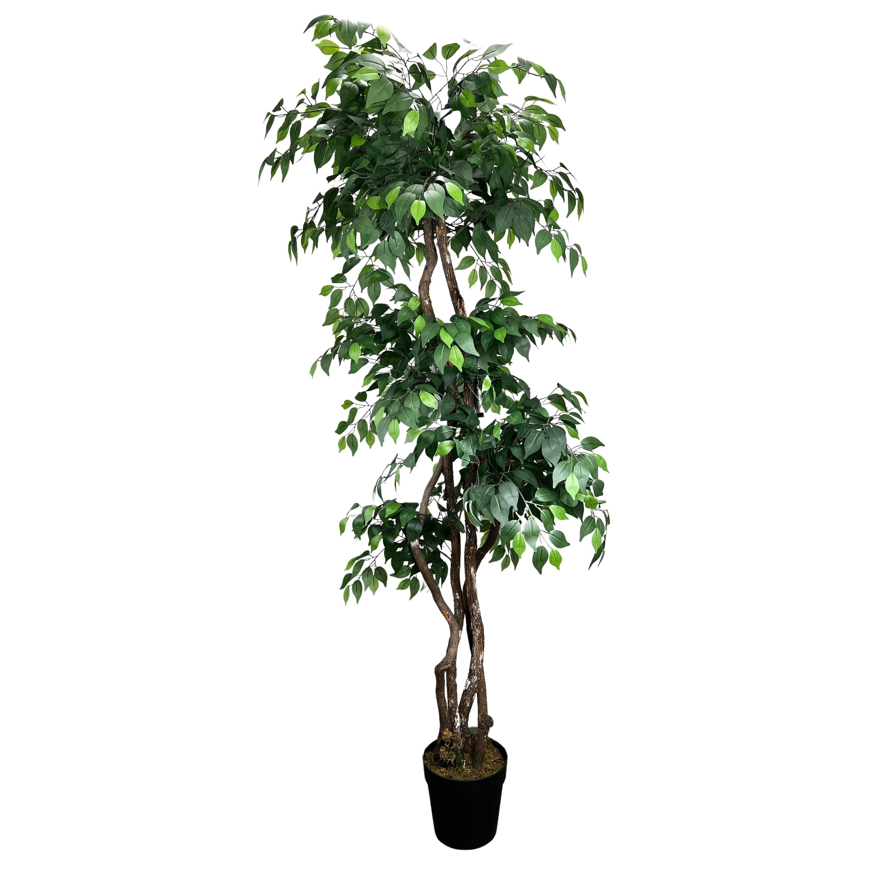 Ficus Artificial Plants - Bed Bath & Beyond