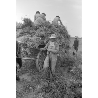 Harvesting Soybean Hay With A Mule Drawn Wagon History - Bed Bath ...
