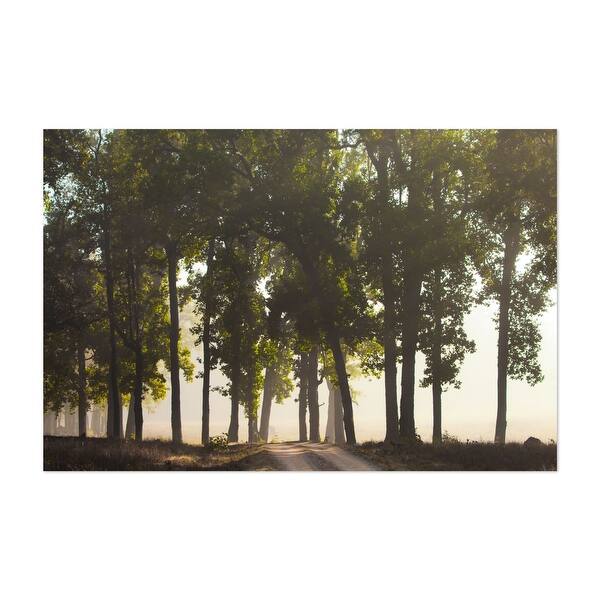 Kanha Park Kutmunda Odisha India Photography Forest Art Print/Poster ...