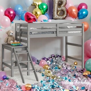 Elegant Twin Loft Bed with Ladder landing Platform, Ladders and ...