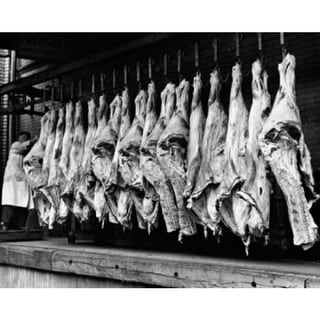 Butcher Hanging Sides Of Beef In A Slaughterhouse Poster Print Item ...