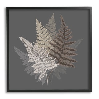 Stupell Botanical Fern Leaves Modern Layered Nature Design Framed Wall ...