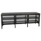 Elegant Black Metal TV Stand for 65-Inch TV, Clutter-Free 2-Tier ...