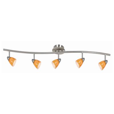 5 Light 120V Metal Track Light Fixture with Glass Shade, Silver and ...