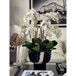 White Cascading Orchids in Elegant White and Black Kempff Ceramic Bowl ...