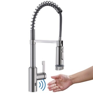 Brushed Pull-Dwon Induction Kitchen Faucet - Bed Bath & Beyond - 36061446