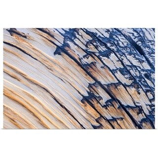 "The bark and wood of the Great Basin Bristlecone Pine (Pinus longaeva ...