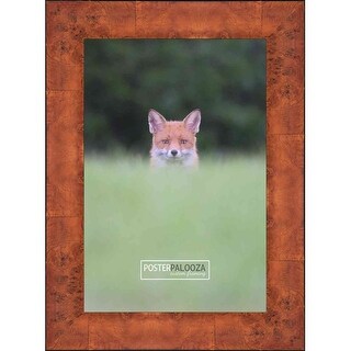 30x40 Traditional Honey Pecan Wood Picture Frame - Complete with Frame ...