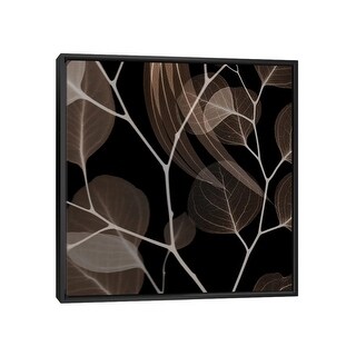 iCanvas "Chocolate Eucalyptus I" by Albert Koetsier Framed Canvas Print ...