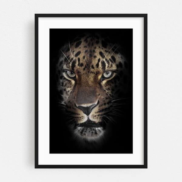 Night with faint colors leopard muzzle Photography Art Print/Poster ...