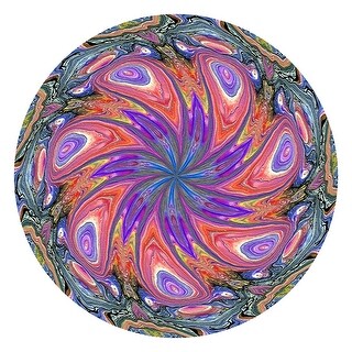 Fine Art Studio "Mandala Effect 21" by R Bolokofsky Gallery Wrap Canvas ...