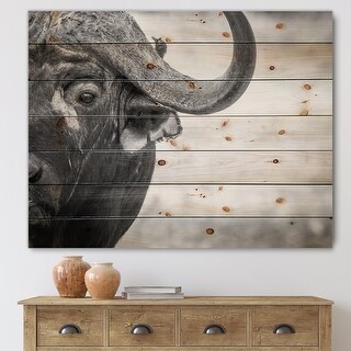 Designart 'Monochrome Portrait Of Buffalo III' Farmhouse Print on ...
