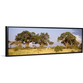 "Baobab Trees and Safari Tarangire Tanzania Africa" Black Float Frame ...