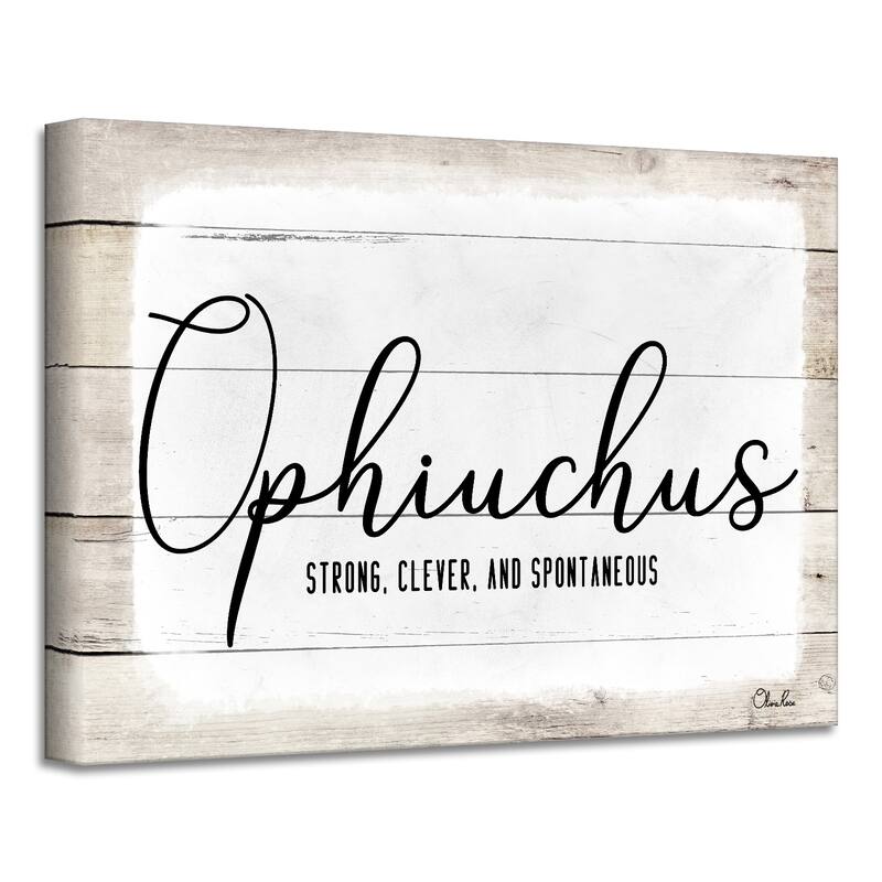 Olivia Rose 'Zodiac' Canvas Textual Wall Art - 8 in. H x 12 in. W ...