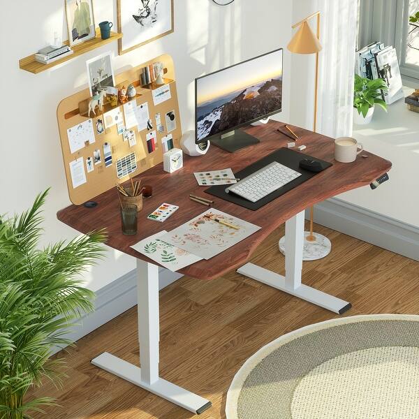 FLEXISPOT Dual Motol 3-Stage Ergonomic Adjustable Height Home Office ...