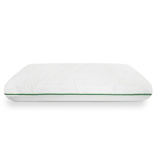 Fresh and Clean Memory Foam Bed Pillow with Antimicrobial Ultra-Fresh ...