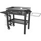 Flat Top Gas Grill 2 Burner Propane Fuelled Rear Grease Management ...