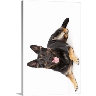 "German Shepherd panting" Canvas Wall Art - Bed Bath & Beyond - 16483865