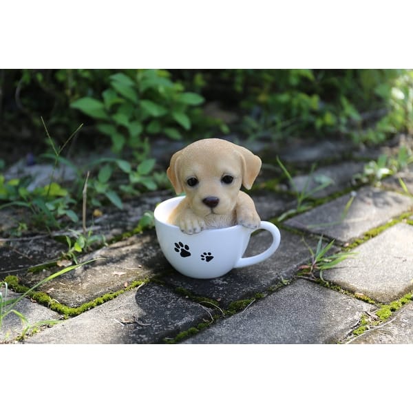 teacup labrador