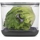 ProKeeper+ by Progressive Stackable Produce ProKeeper Storage Container ...