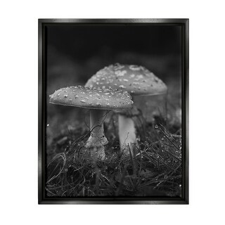 Stupell Grey Mushroom Photography Framed Floater Canvas Wall Art Design ...