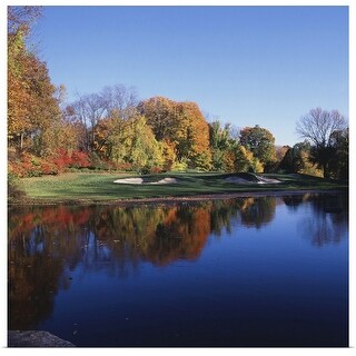 "Trees in a golf course, Patterson Club, Fairfield, Connecticut" Poster ...