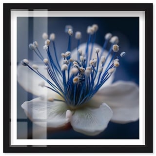 Blue Supernova I Floral Wall Art Shadowbox Print by Notoriart - Bed ...