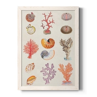 Coral & Shell Collage I-Premium Framed Canvas - Ready to Hang - Bed ...