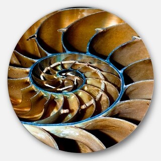 Designart 'Brown Nautilus Shell' Abstract Art Round Wall Art - Bed Bath ...