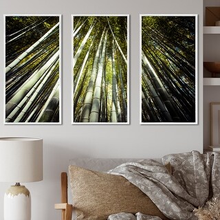 Designart "Long Bamboos in Bamboo Forest" Forest Framed Art Prints Set ...