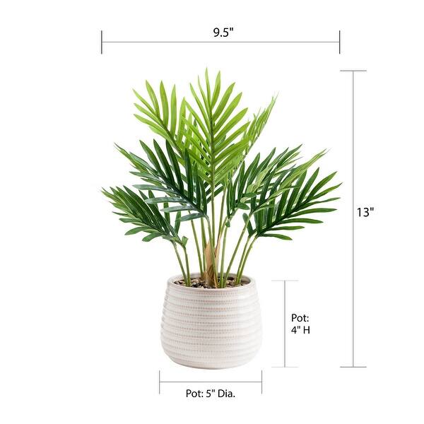 Mini Palm In Ceramic Pot - Bed Bath & Beyond - 33092486