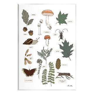 Stupell Woodland Nature Studies Wall Plaque Art Design by Sweet Melody ...