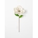 Sullivans Magnolia Artificial Stem 26"H Off-White - White - 6"L x 6"W x ...