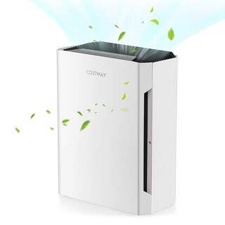 Costway H13 True HEPA Air Purifier Portable Air Cleaner with - See ...