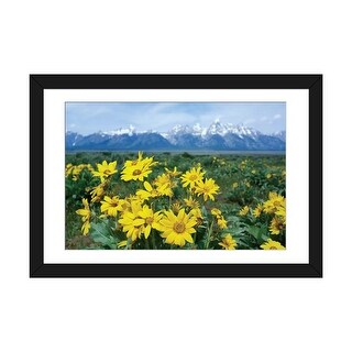 iCanvas "Balsamroot Sunflower Patch, Grand Teton National Park, Wyoming ...
