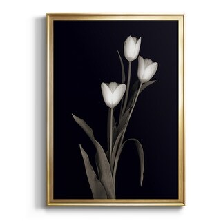 Tulip Pose I Premium Framed Print - Ready to Hang - Bed Bath & Beyond ...