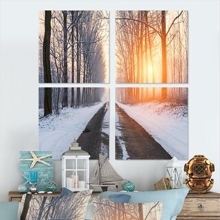 Designart "Bright Sun Break in Winter Forest" Forest Canvas Wall Art ...