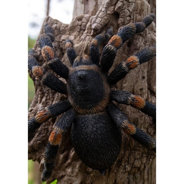 Tarantula - Bed Bath & Beyond - 35453719