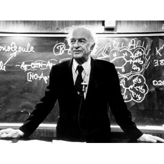 Chemist And Nobel Prize Winner Linus Pauling History - Bed Bath ...