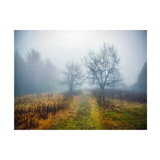 Kelly Sinclair 'Magic Meadow Apples' Canvas Art - Bed Bath & Beyond ...