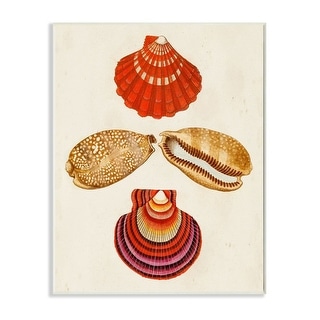 Stupell Antique Brown Speckled Red Striped Sea Shell Art Wood Wall Art ...