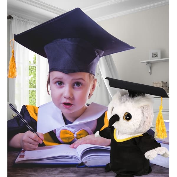 DolliBu Owl Graduation Plush Toy with Gown and Cap with Tassel - 8.5 ...