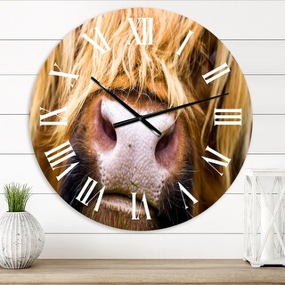 Designart 'Close-Up Highland Cattle In Scotland' Farmhouse wall clock ...