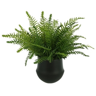 Fern Arrangement in a Small Pot - Green - Bed Bath & Beyond - 39876150