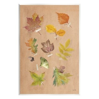 Stupell Woodland Leaf Studies Wall Plaque Art Design by House Fenway ...