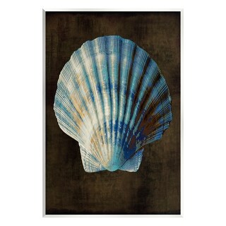 Stupell Rustic Clam Shell Wall Plaque Art Design by Caroline Kelly ...