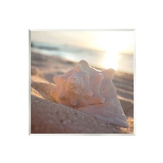 Stupell Sunlit Conch Shell Wall Plaque Art Susan Bryant - Bed Bath ...