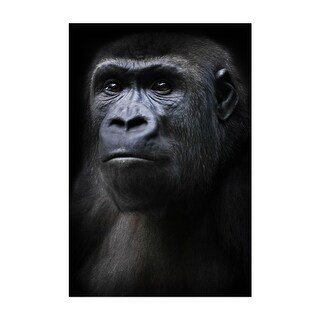 Strained face with shining eyes Photography Art Print/Poster - Bed Bath ...