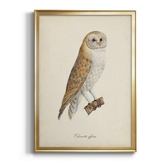 French Owls VI Premium Framed Print - Ready to Hang - Bed Bath & Beyond ...