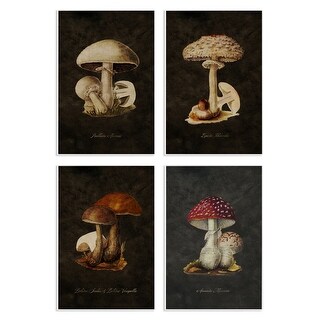 Stupell Mushroom Genus Studies Wall Plaque Art Design By Tina Higgins ...